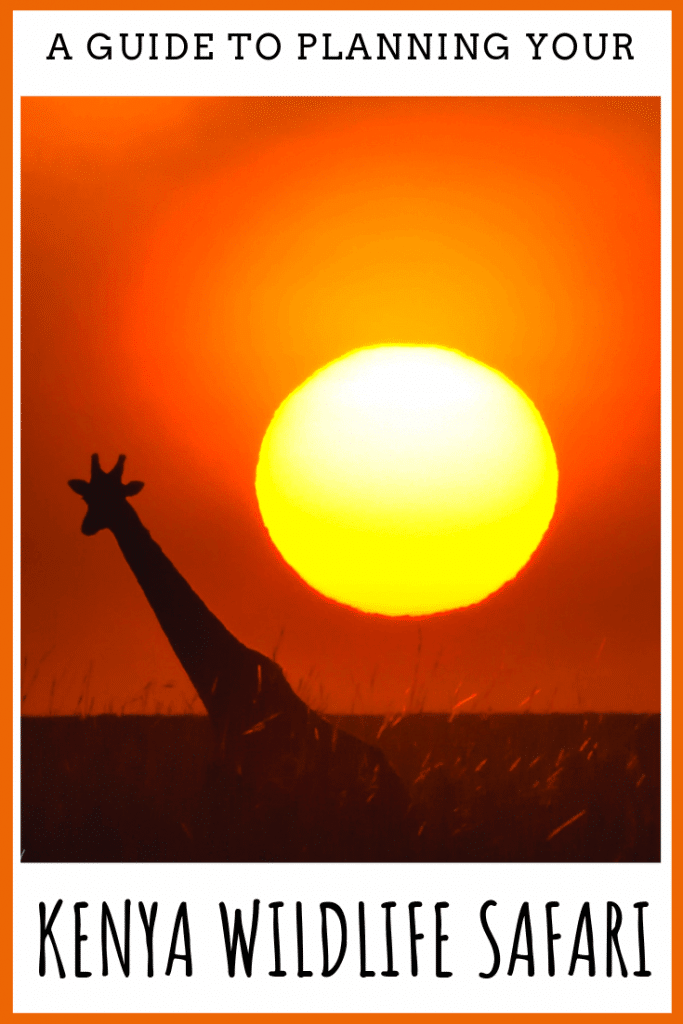 How to Plan An Amazing Kenya Wildlife Safari