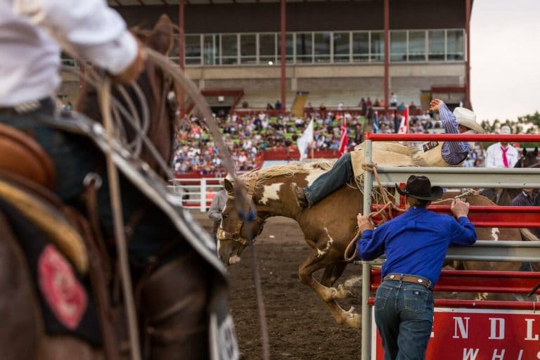 Behind the Scenes of a Rodeo and What Makes a Cowboy Tick
