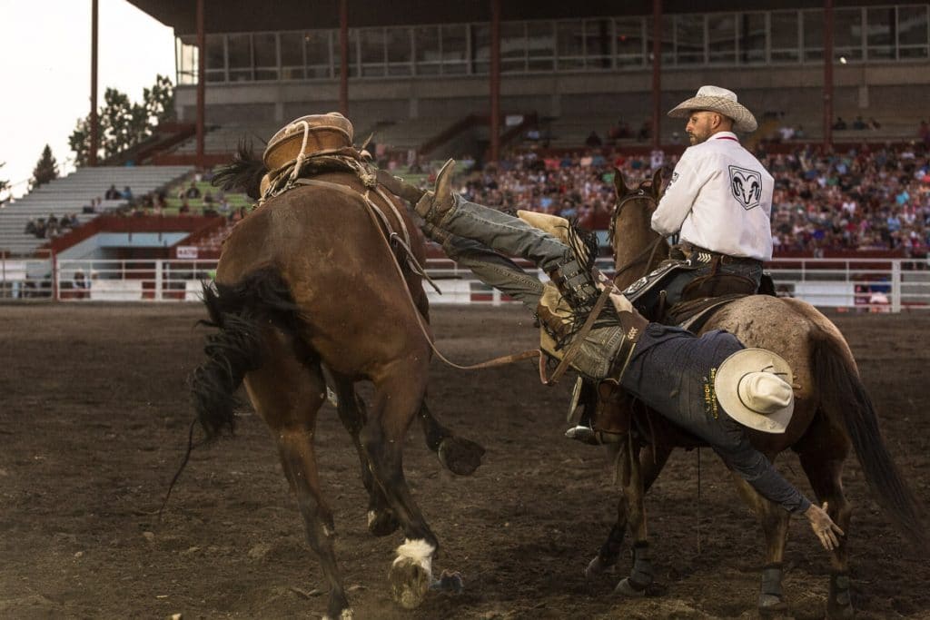 Behind the Scenes of a Rodeo and What Makes a Cowboy Tick