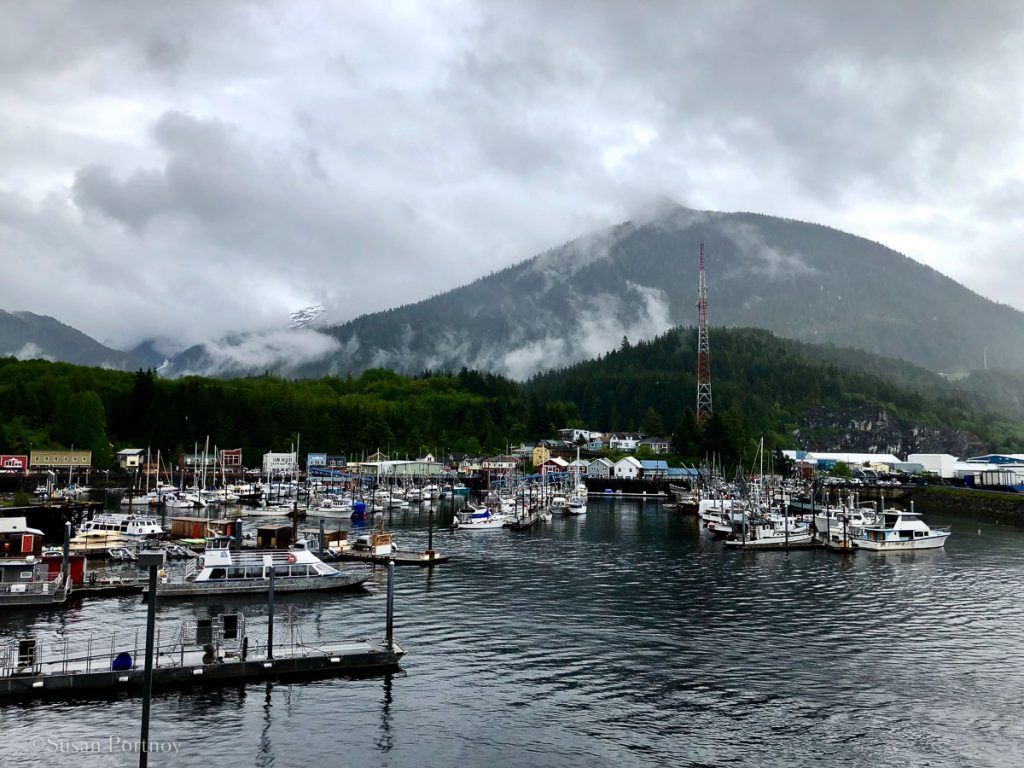 Dive Into The Unexpected â€“ A Snorkel Ketchikan Excursion in Alaska