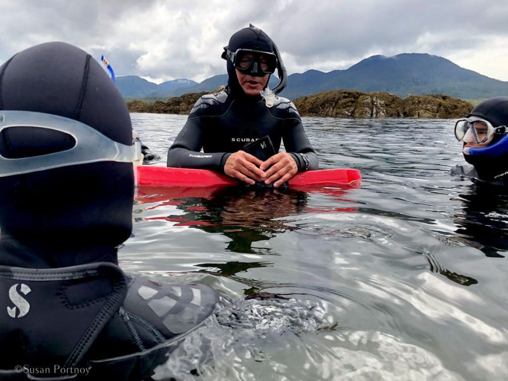 Dive Into The Unexpected – A Snorkel Ketchikan Excursion in Alaska