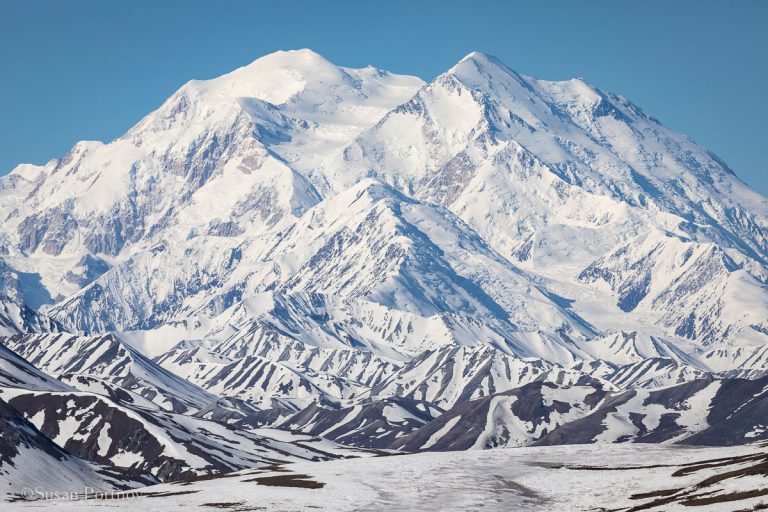 A Traveler's Guide to Holland America's Alaska Land and Sea Adventure