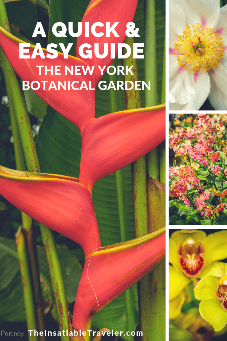 A Helpful Guide to the New York Botanical Garden in the Bronx
