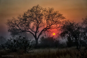 30 Breathtaking Views in the World Worth Traveling For