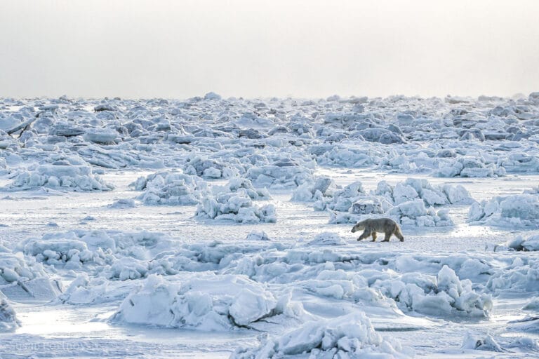 30 Breathtaking Views in the World Worth Traveling For