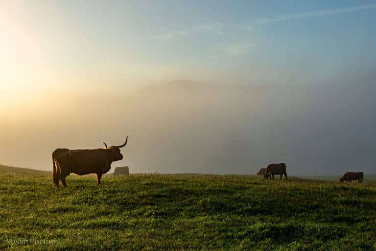 30 Breathtaking Views in the World Worth Traveling For