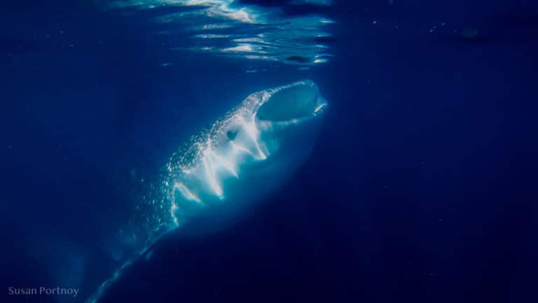 30 Breathtaking Views in the World Worth Traveling For