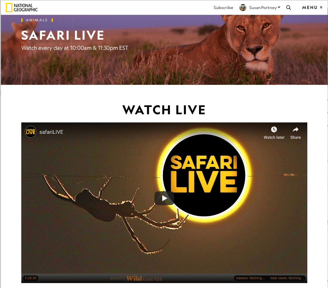 African Cams Live: Enjoy the Wonders of the Bush at Home