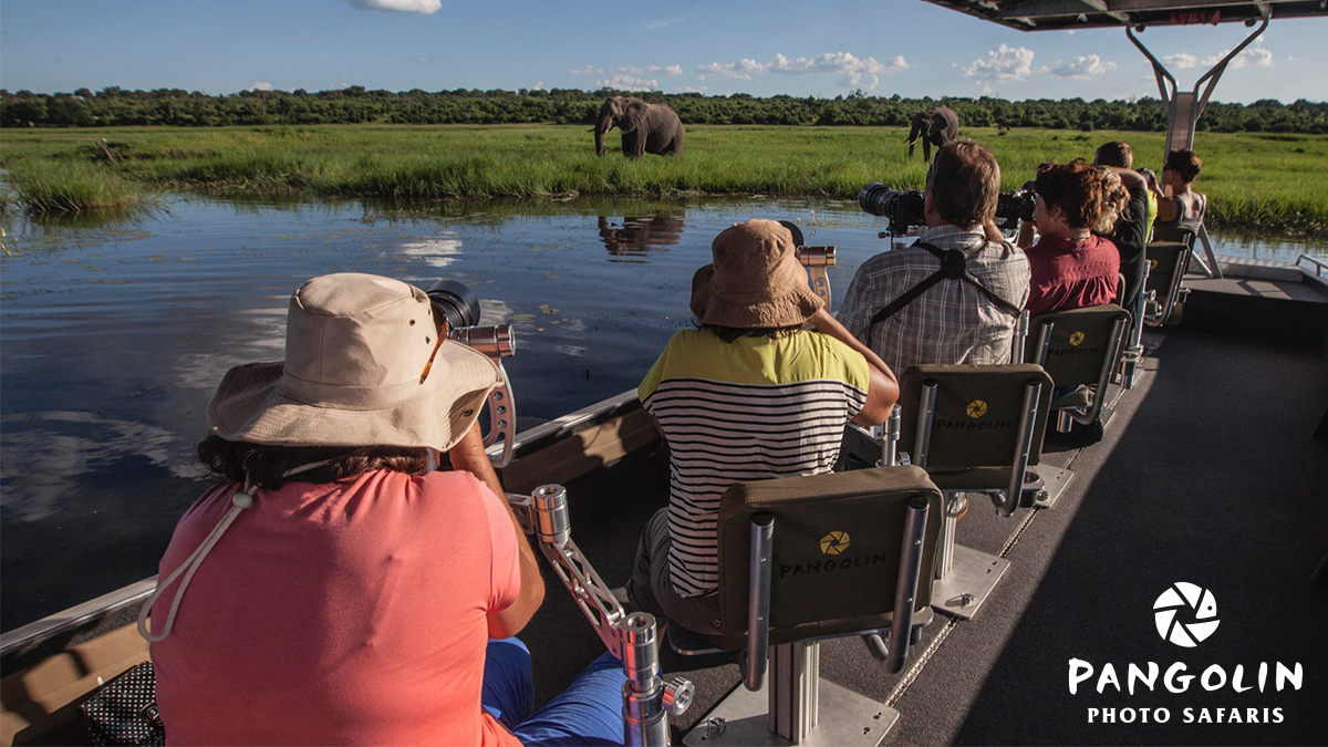 10 of the Best Africa Photo Safari Tours in the World