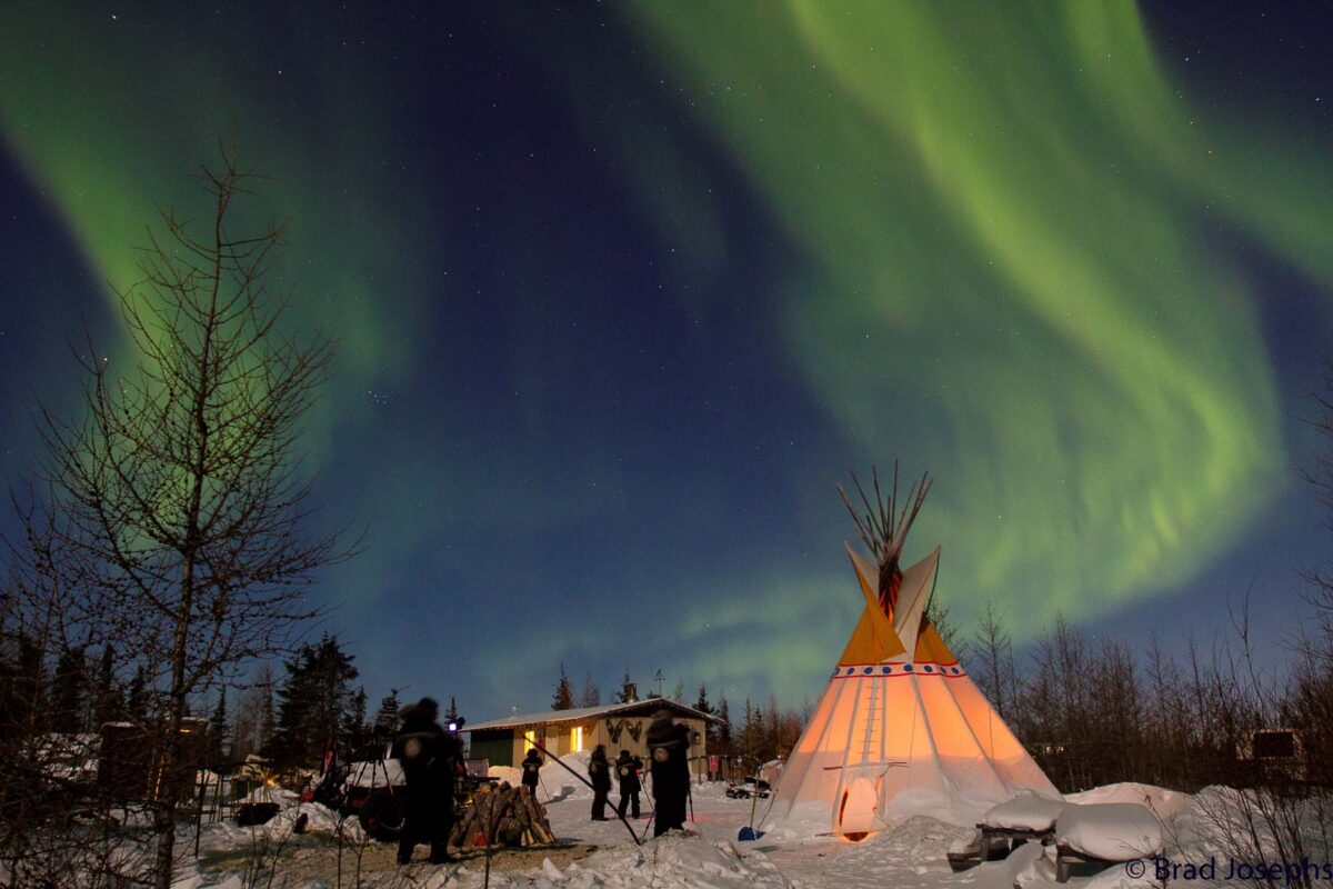 The Ultimate Guide to Polar Bear Tours in Churchill Manitoba