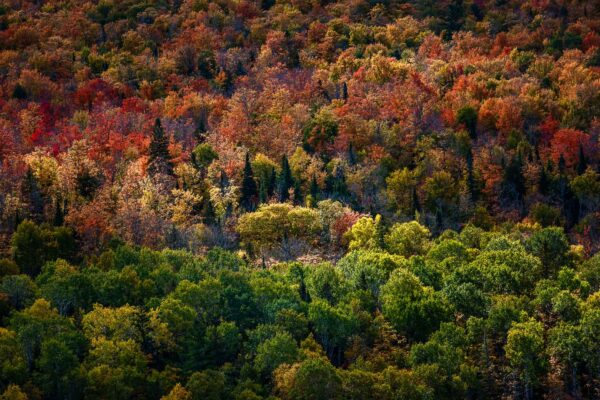 30 Breathtaking Views in the World Worth Traveling For