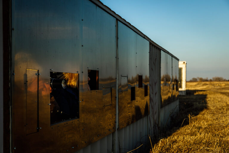 The Best Places to See Nebraska's Sandhill Crane Migration