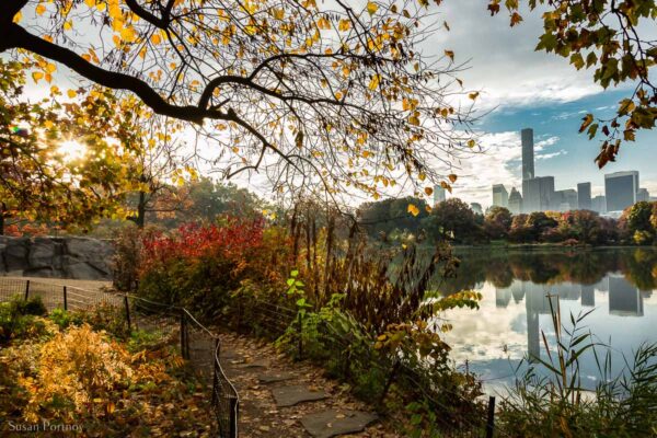 Central Park in Fall: The Best Places to Photograph Autumn Foliage