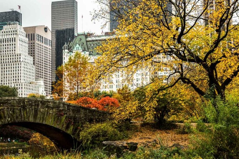 Central Park in Fall: The Best Places to Photograph Autumn Foliage