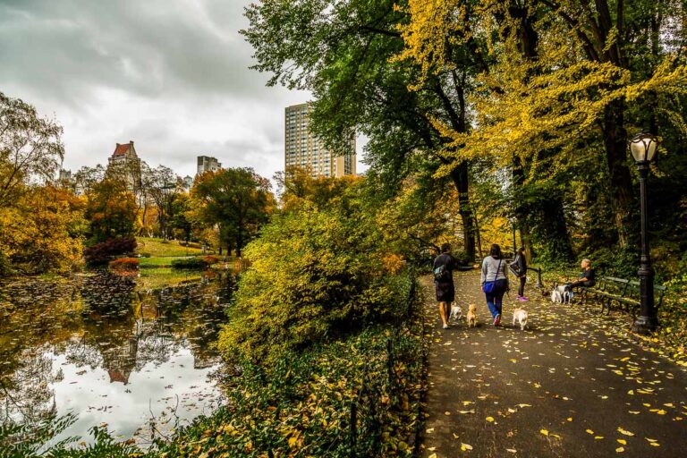 Central Park in Fall: The Best Places to Photograph Autumn Foliage