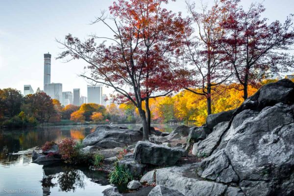 Central Park in Fall: The Best Places to Photograph Autumn Foliage