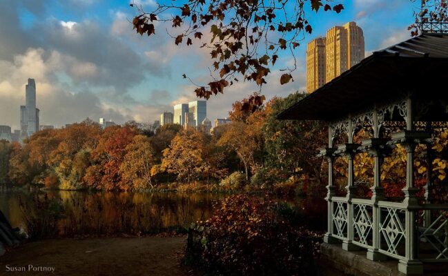 Central Park in Fall: The Best Places to Photograph Autumn Foliage