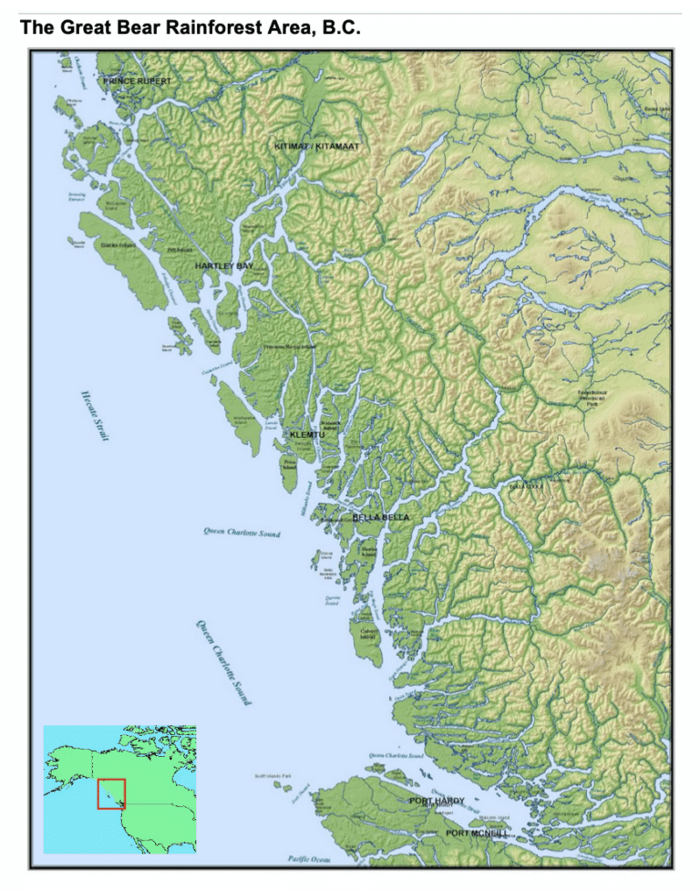 Visit the Great Bear Rainforest Home of the "Spirit" Bear