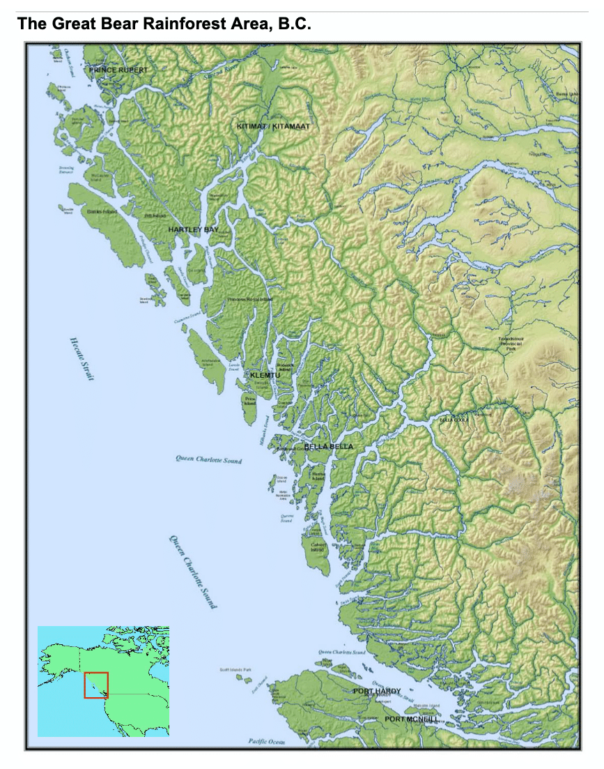 Visit the Great Bear Rainforest Home of the "Spirit" Bear